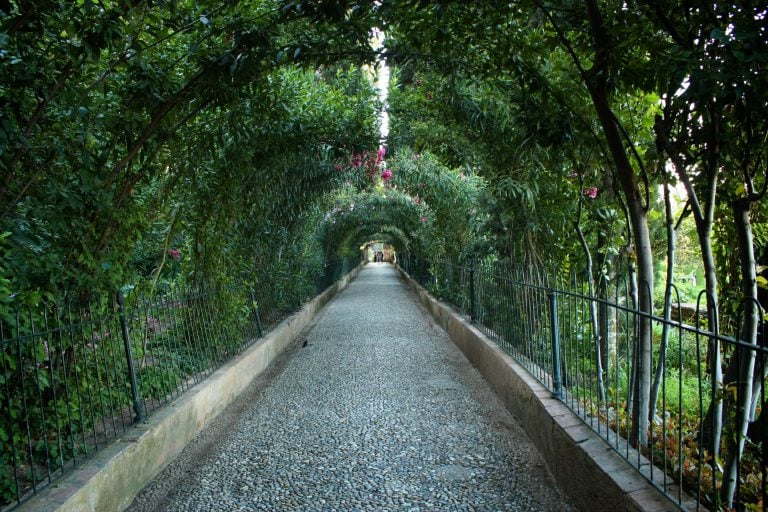 Spania 2011, Granada: Alhambra