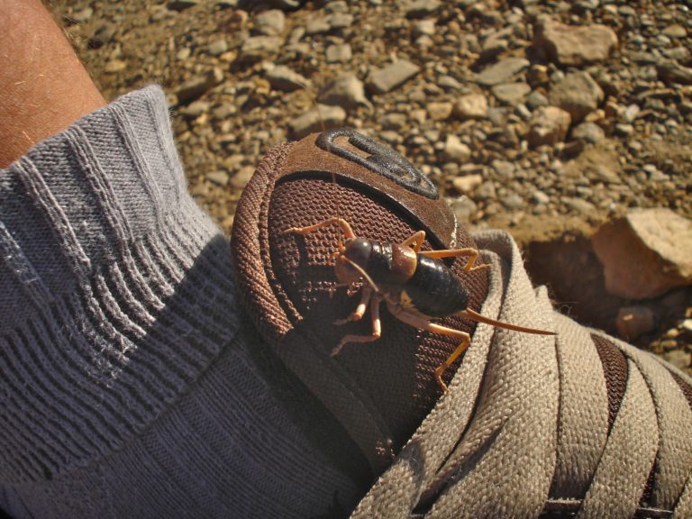 Spania 2011, Capileira – din zona Alpujarra, parcul natural Sierra Nevada