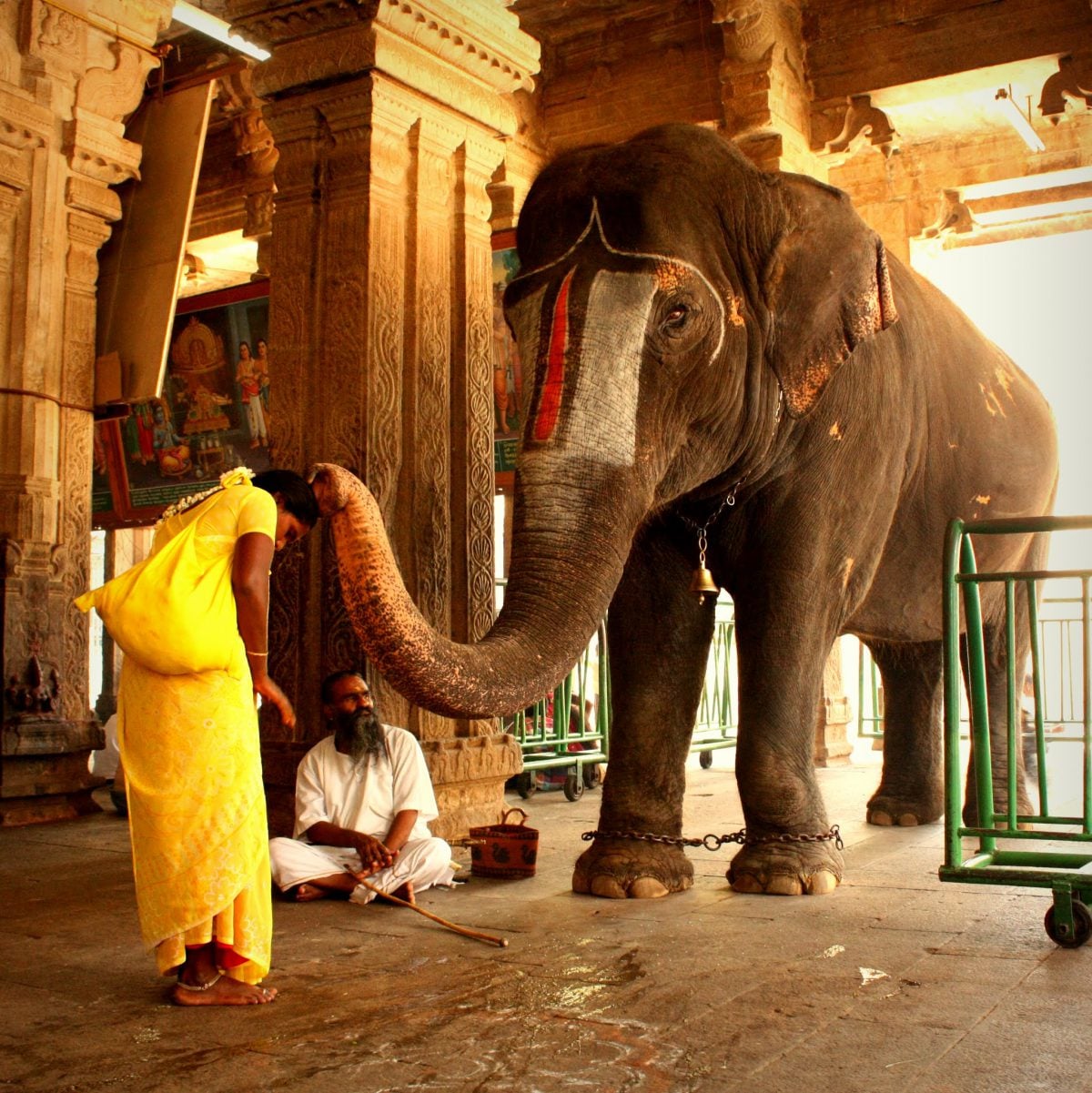 India, Trichy (Tiruchchirappalli)